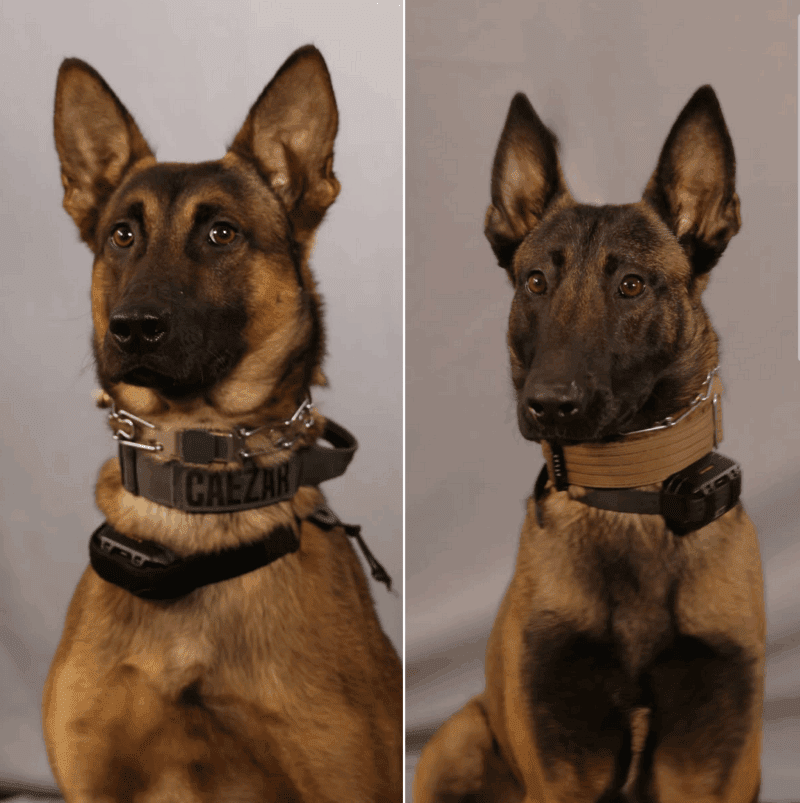 Indiana State Police Lowell Post Welcomes Two Canine Teams to the District